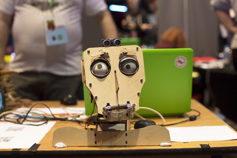 Raspberry Fields - Raspberry Pi