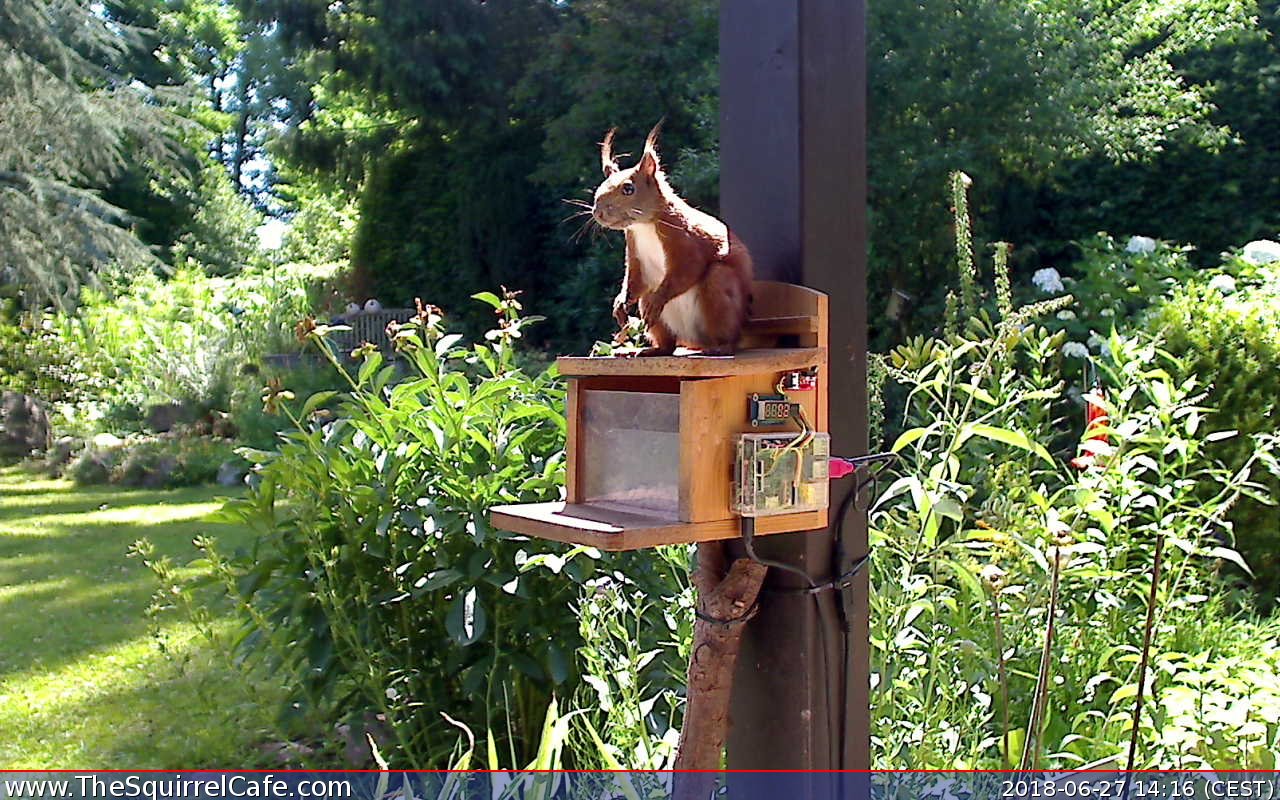 nature Archives - Raspberry Pi