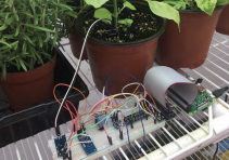 Using data to help a school garden - Raspberry Pi Foundation