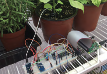 Using data to help a school garden - Raspberry Pi Foundation