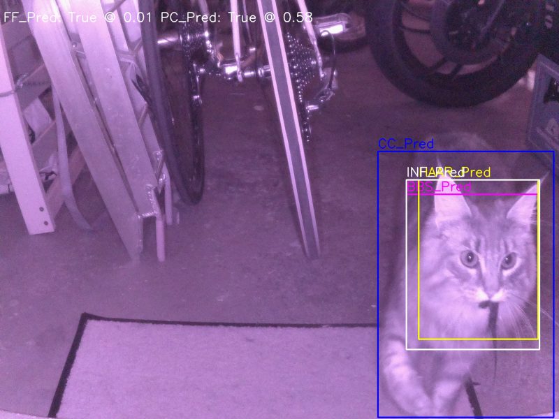 Deep learning cat prey detector