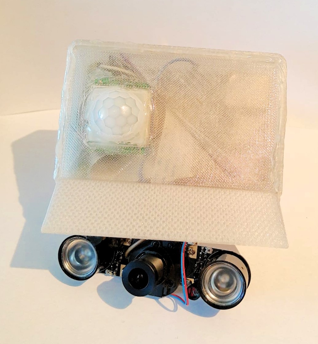 Deep learning cat prey detector