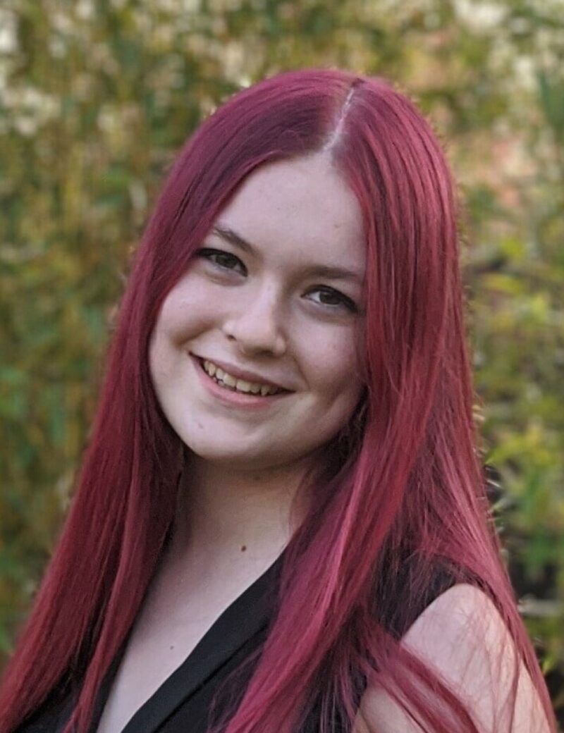 How do we develop AI education in schools? A panel discussion ...