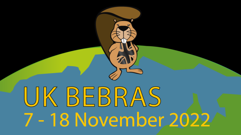 Join the UK Bebras Challenge 2022 for schools - Raspberry Pi Foundation