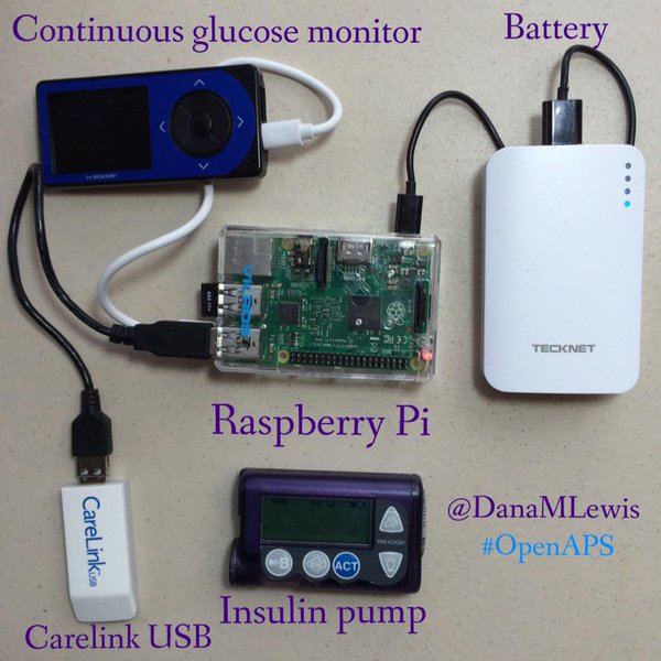 Artificial Raspberry Pi Pancreas Raspberry Pi 